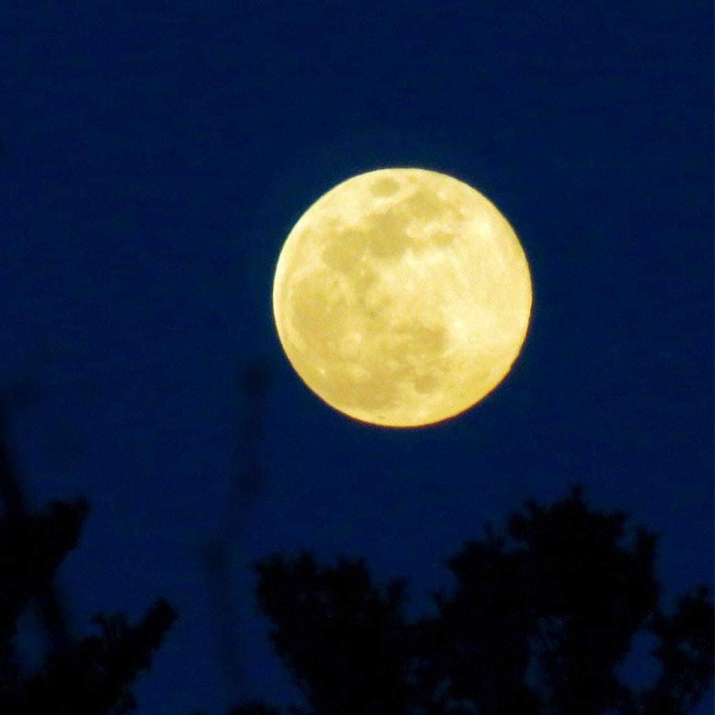 Super worm equinox Moon - Scientia Magazine