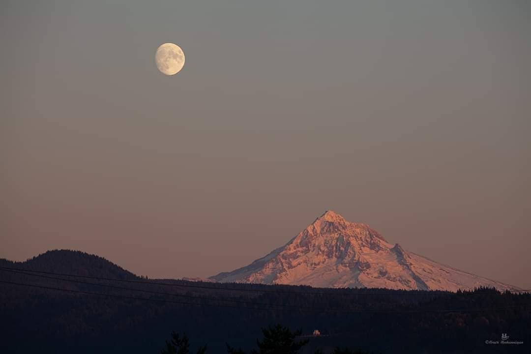 Hunter’s Moon – The ultimate celestial event in October - Scientia Magazine