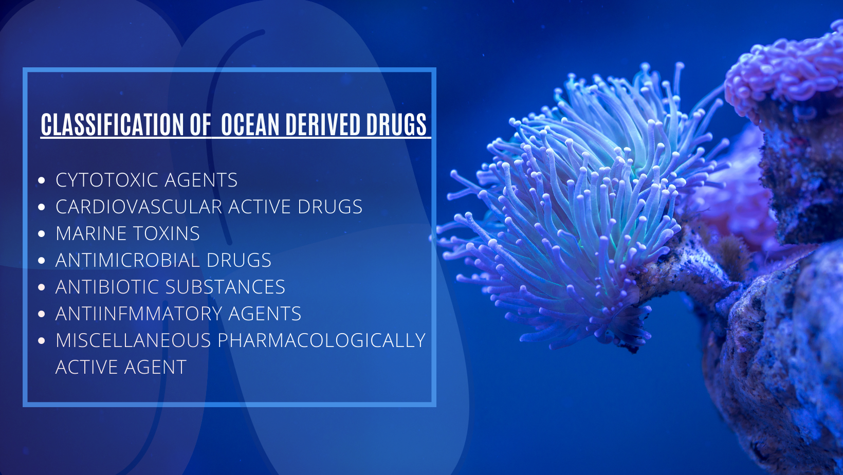 The Pharmaceutical Treasures of Marine Ecosystem - Scientia Magazine