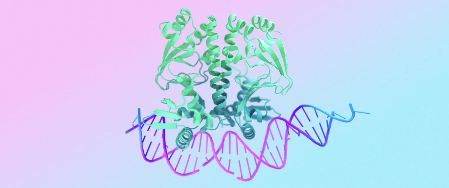 Solving the Protein Folding Problem: A Journey from Experiments to AI ...
