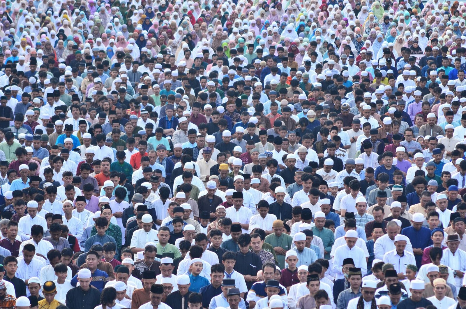The Power of Numbers: How Population Trends Impact Our Future ...